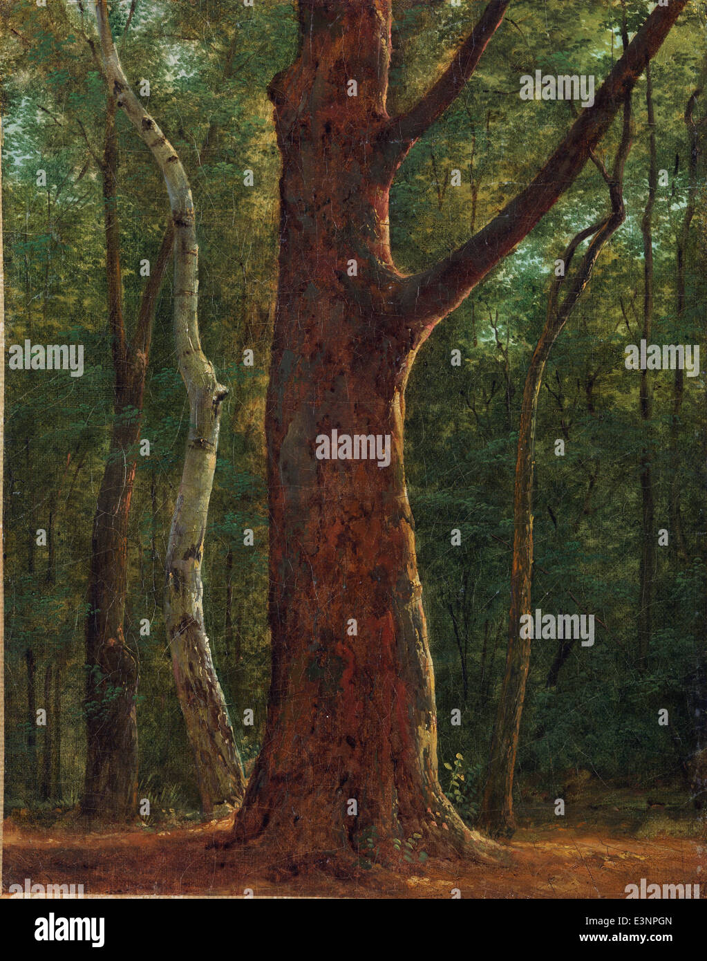 Achille-Etna Michallon - Beech Tree - 1817 - MET Museum - New-York Stock Photo - Alamy