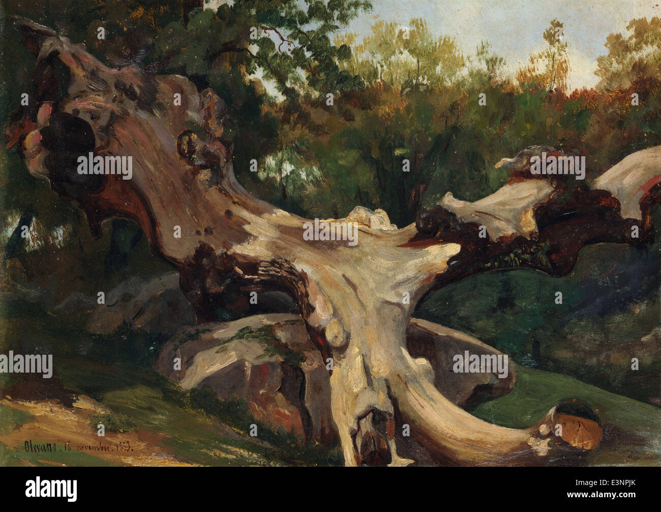 Antoine-Xavier-Gabriel de Gazeau, comte de La Bouëre - Uprooted Tree at ...