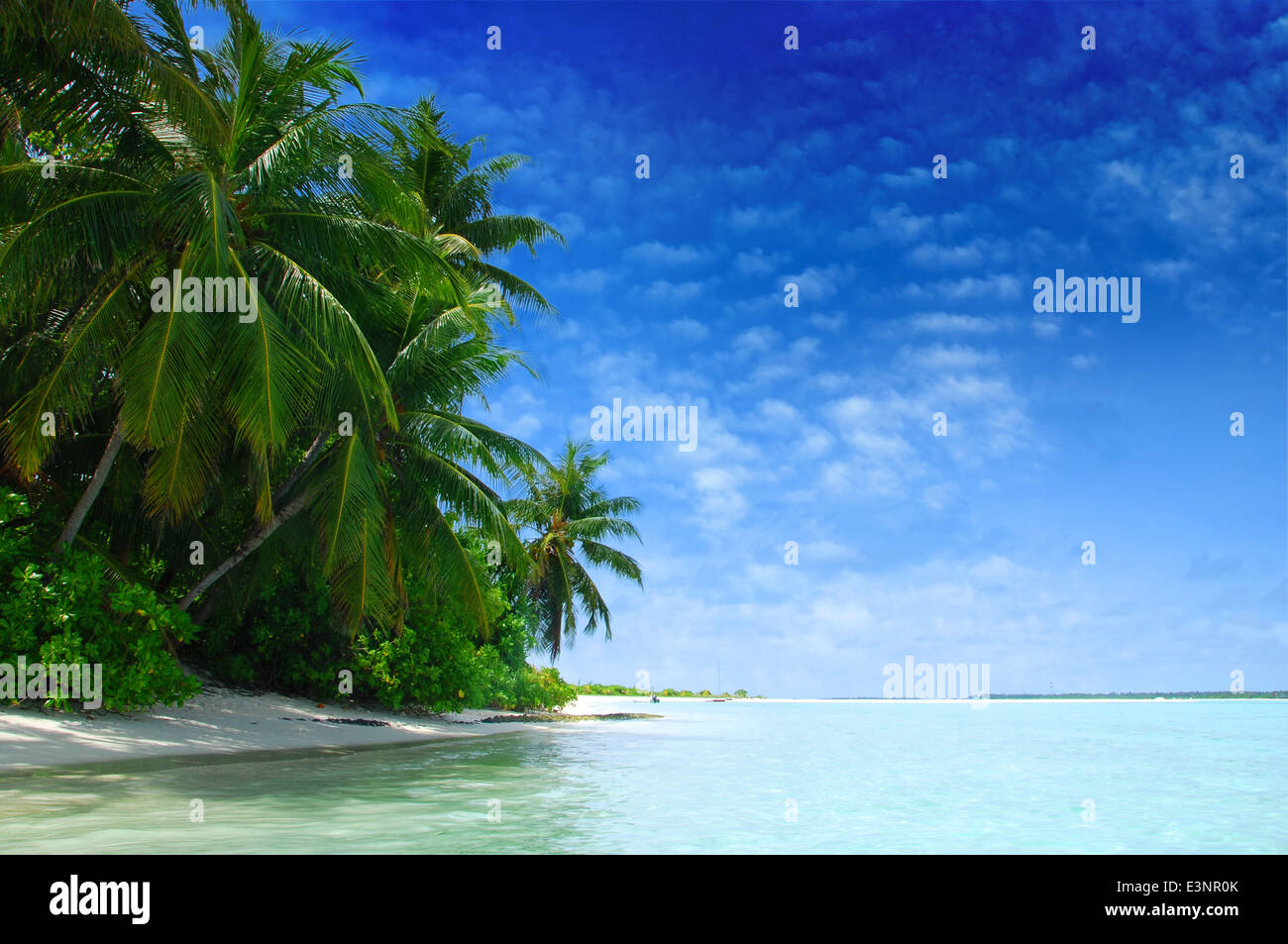Beautiful tropical beach with turquoise sea, white sand and palm Stock ...