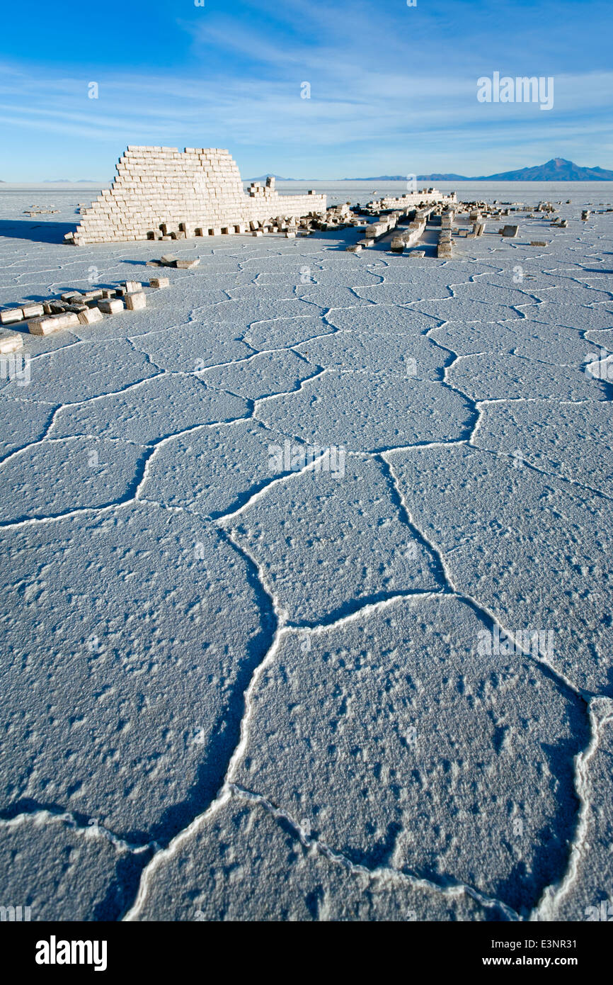 Salt hexagons. Salar de Uyuni. Bolivia Stock Photo - Alamy