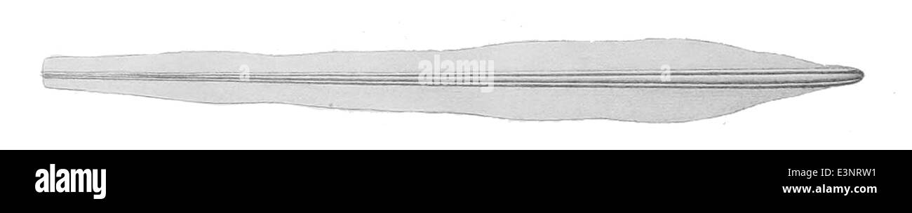 Gladius Cut Out Stock Images & Pictures - Alamy