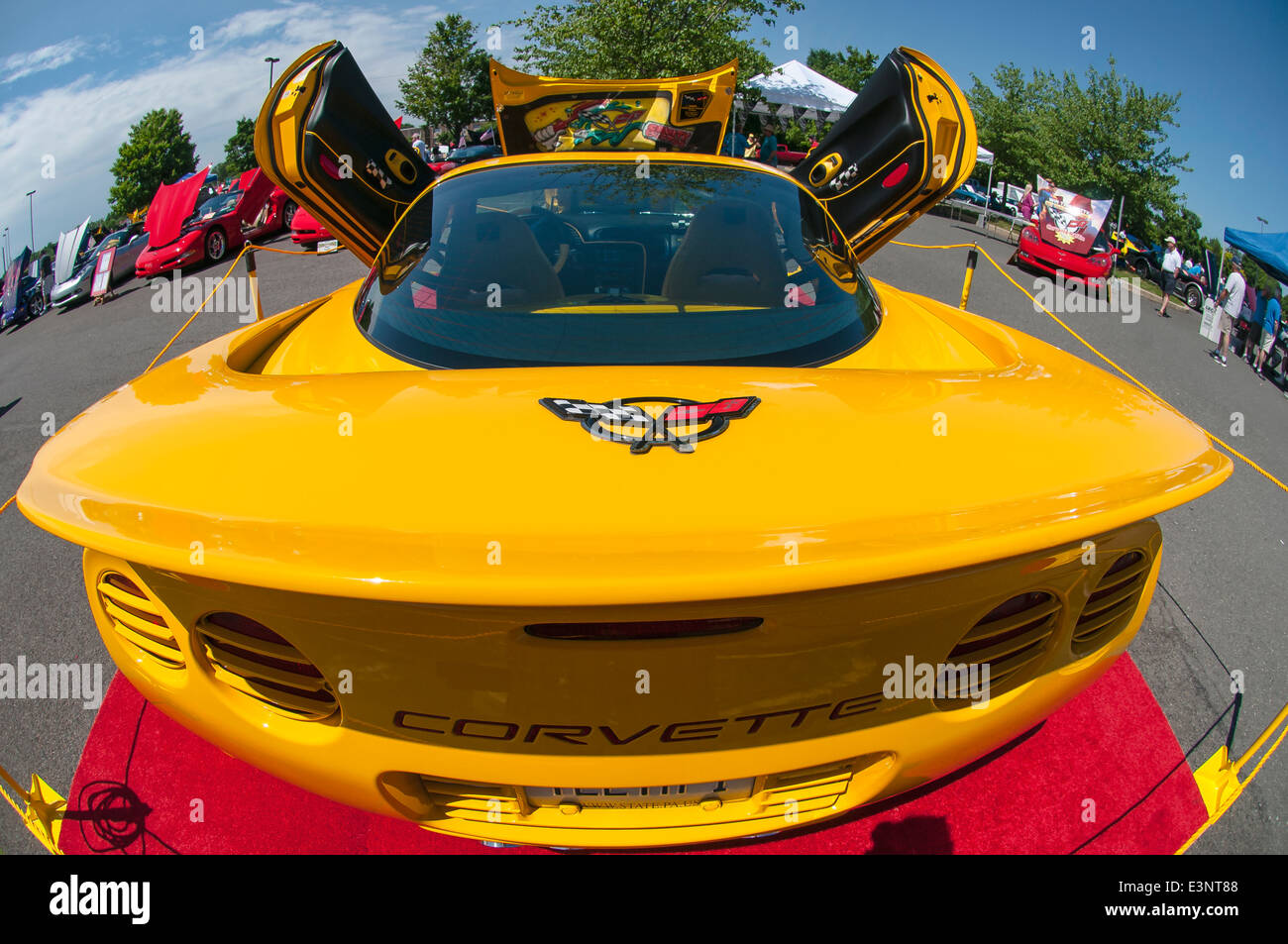 Rear view of a gorgeous yellow Corvette, Auto Show: Corvette ...