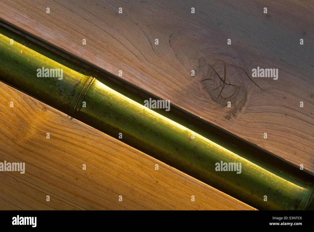 Rod of bamboo in between two planks of wood Stock Photo - Alamy