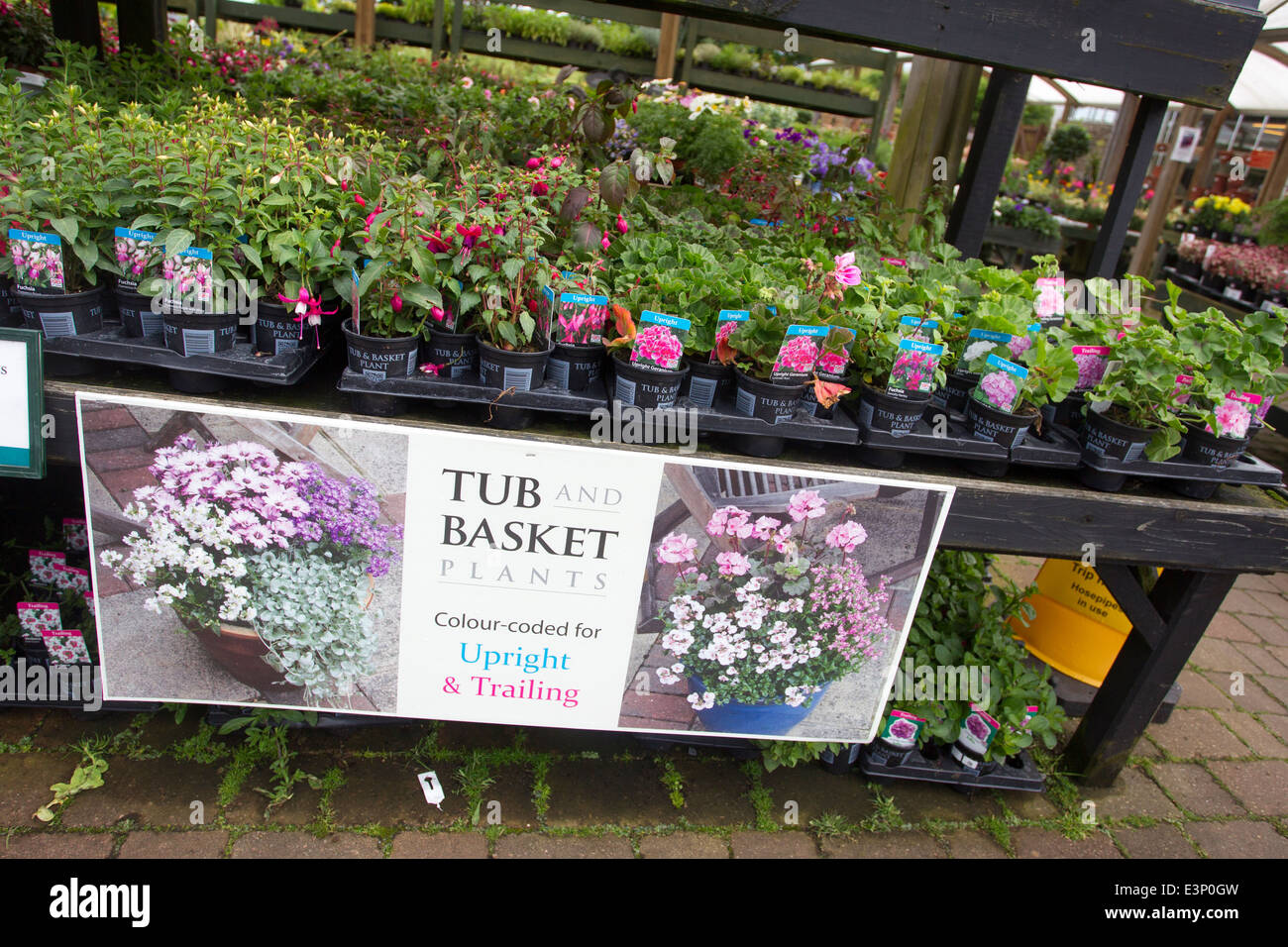 Shopping tub basket hi-res stock photography and images - Alamy