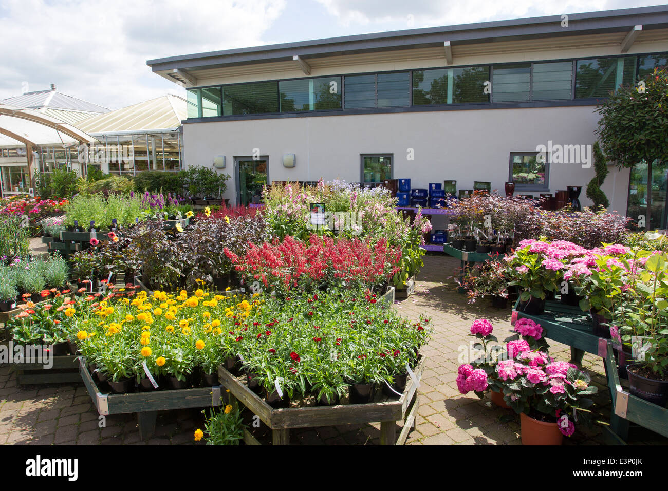 Beetham Nurseries garden centre Stock Photo - Alamy