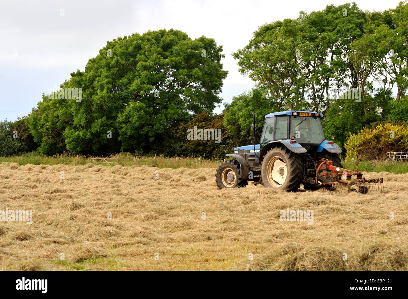 Tractor with "hay bob" used for turning cut grass to aid drying for hay ...