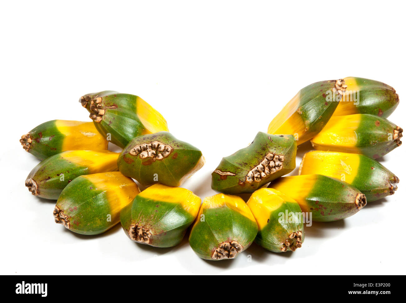 arrangement of seeds from the screw pine Stock Photo - Alamy