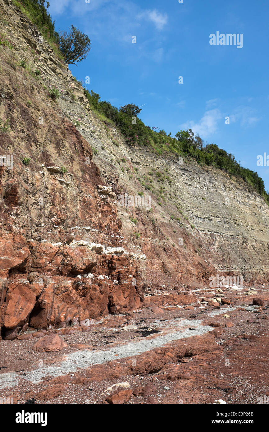 Cliff Face showing geological detail along the coast at Penarth in ...