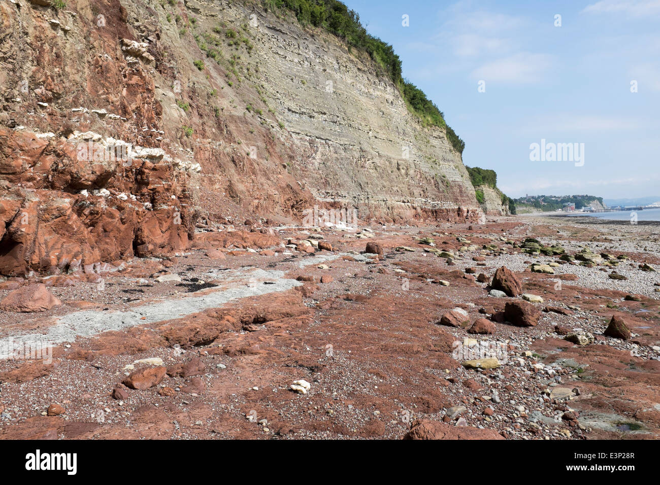 Cliff Face showing geological detail along the coast at Penarth in ...