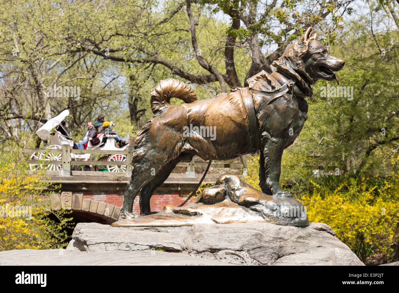 Balto statue central park manhattan hi-res stock photography and images ...