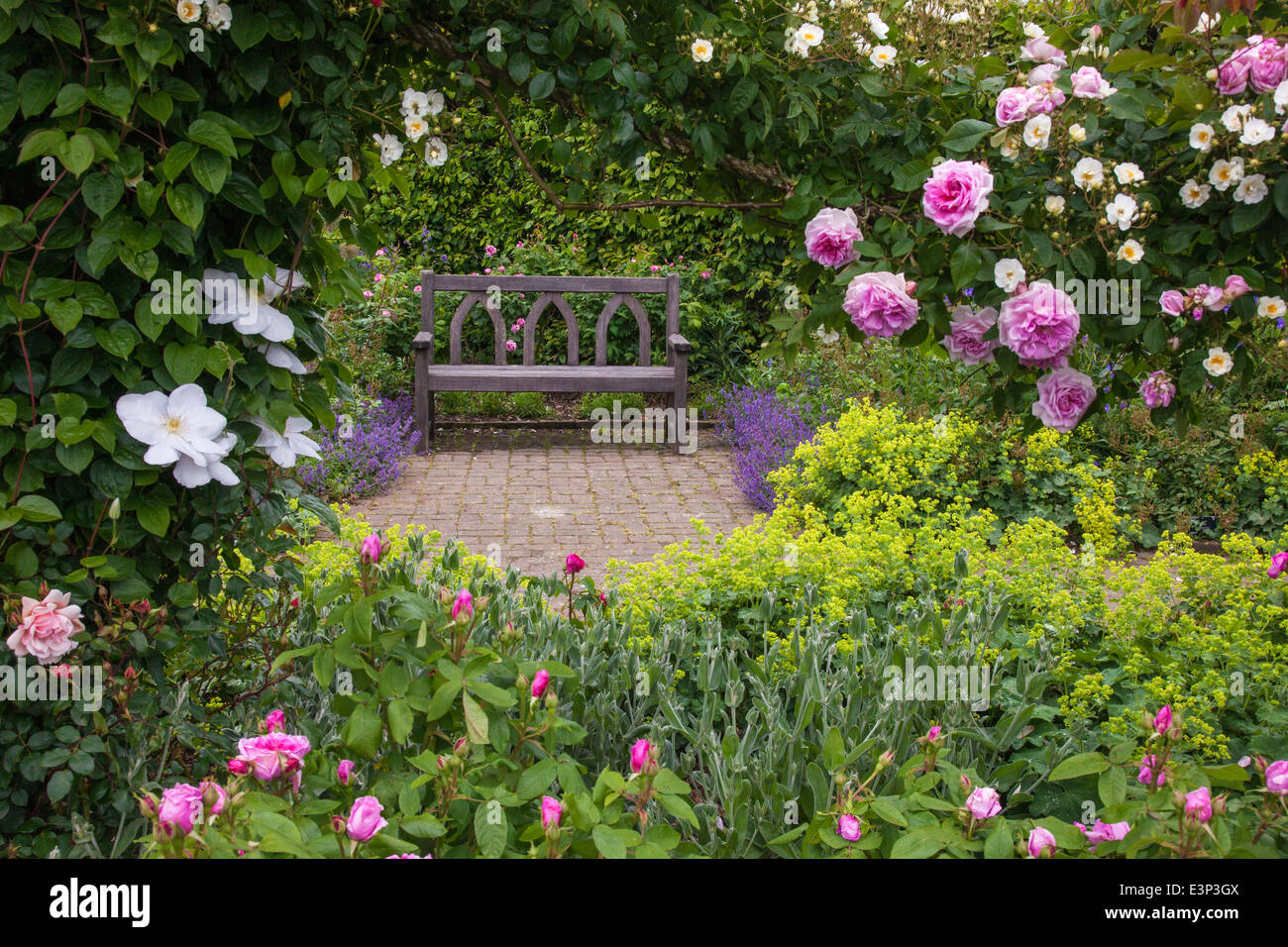 Hedge maze in english garden hi-res stock photography and images - Alamy