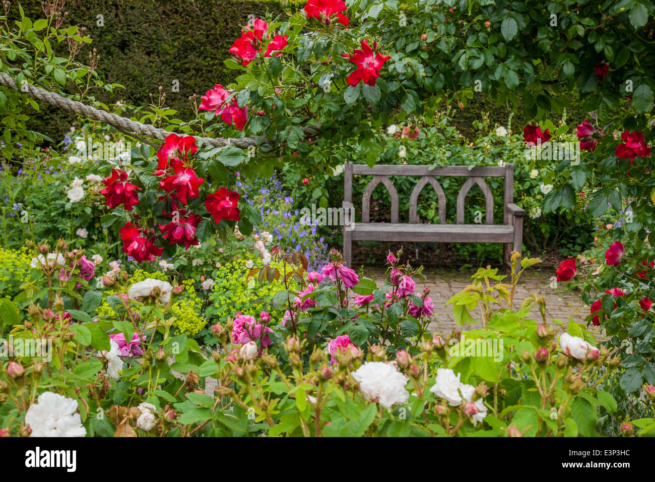 Hedge maze in english garden hi-res stock photography and images - Alamy