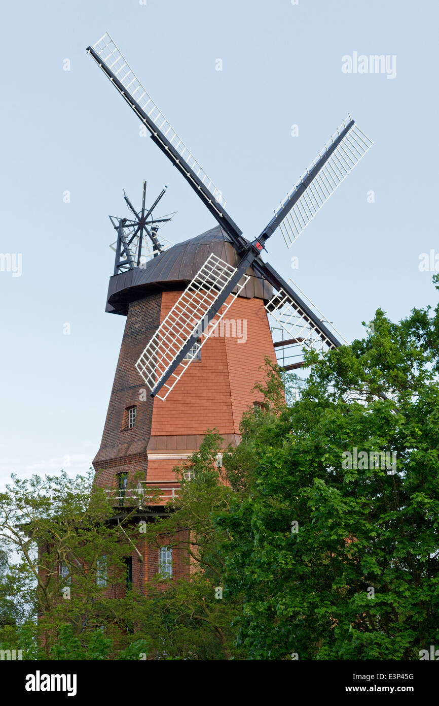 windmill, Hittbergen, Lower Saxony, Germany Stock Photo - Alamy