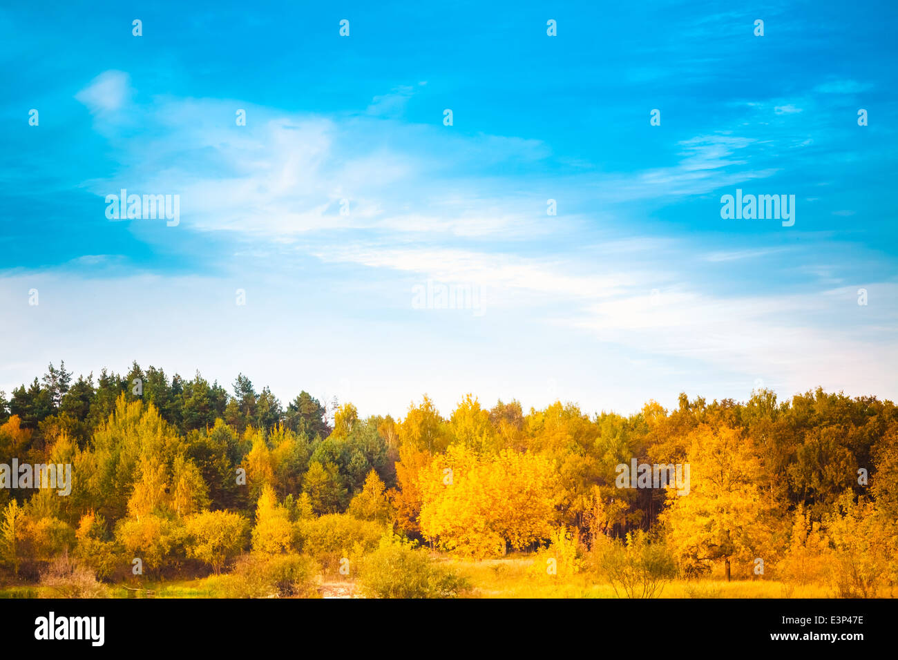 Sky with yellow trees hi-res stock photography and images - Alamy