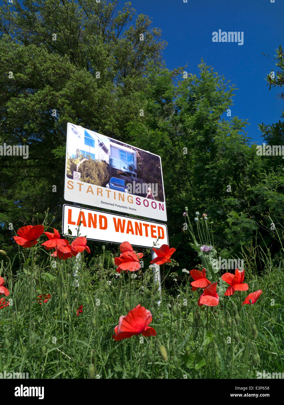 'Land Wanted' sign, for housing development, in sunny field with ...