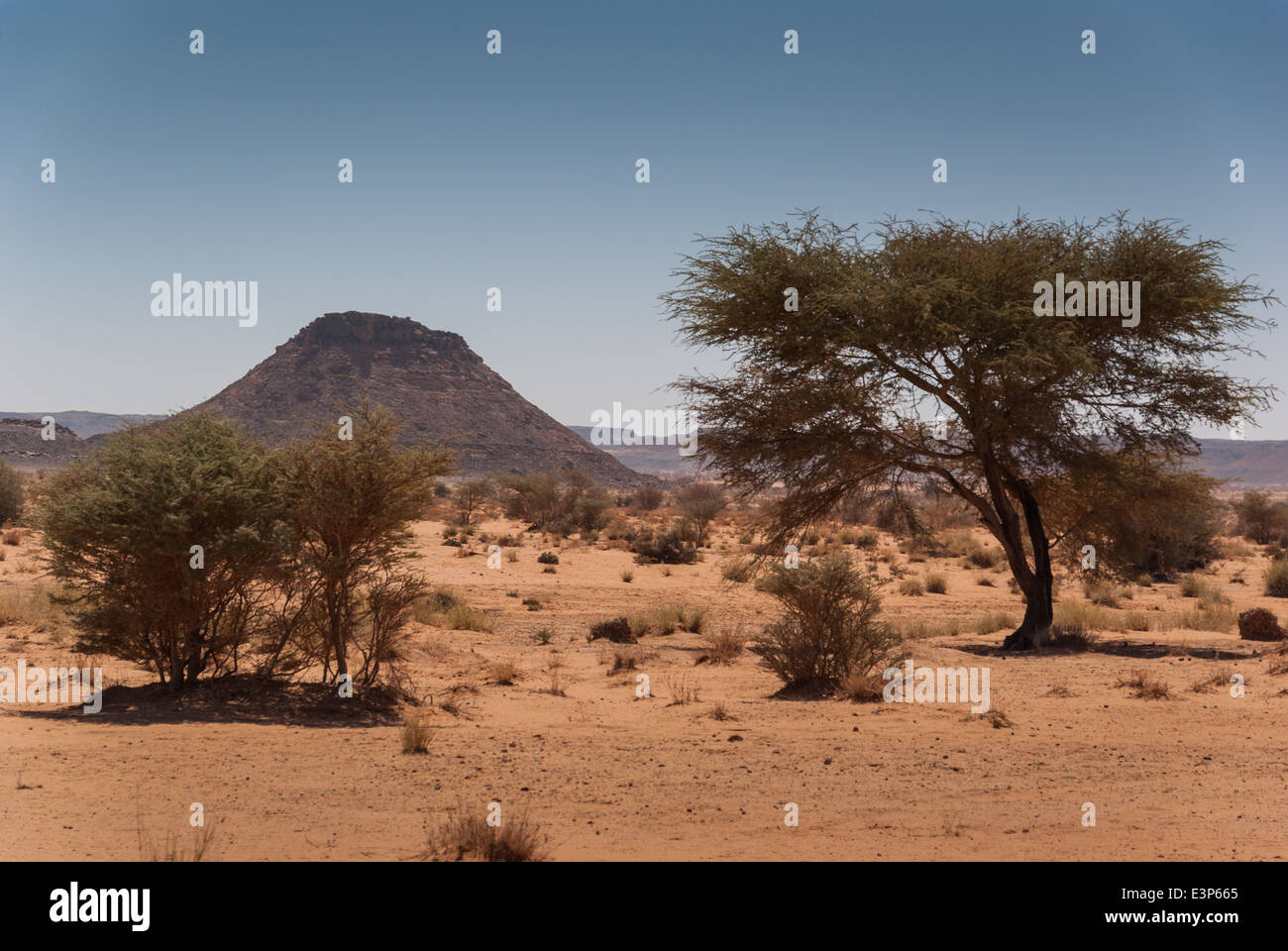 Butana landscape, between Musawwarat es-Sufra and Naqa, northern Sudan ...