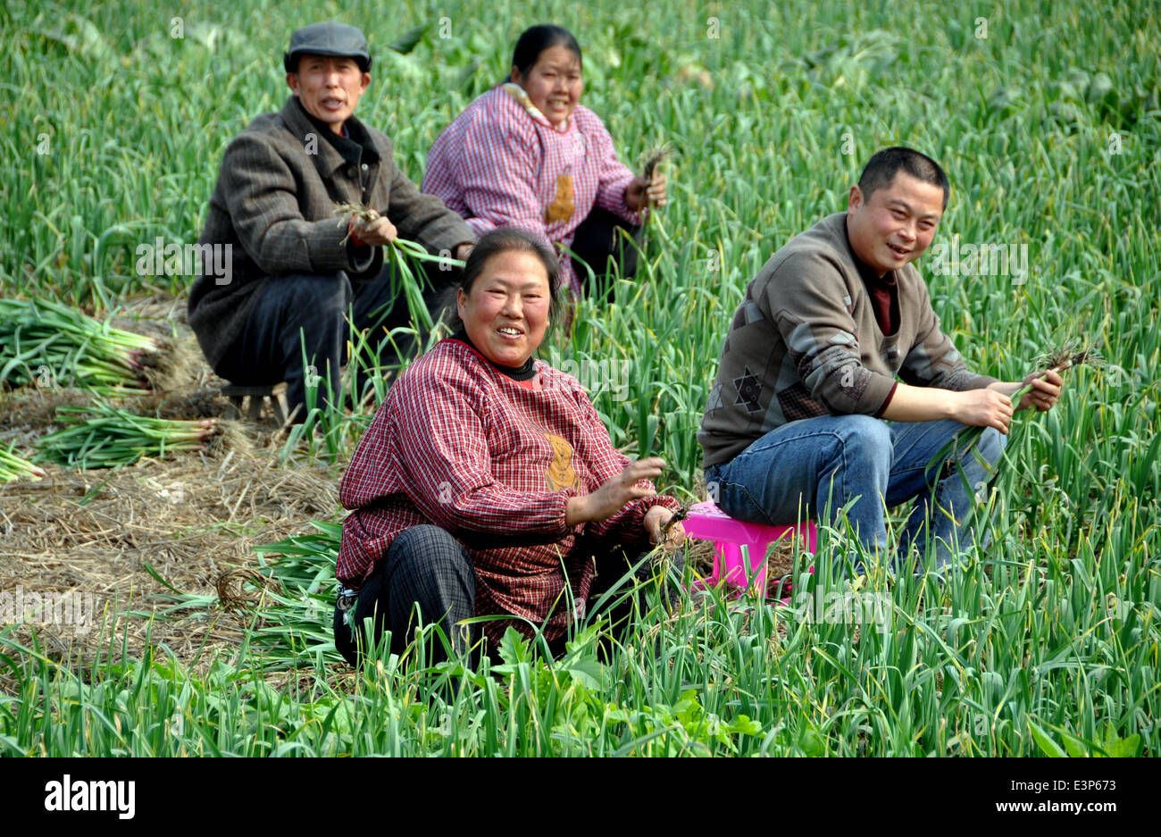 China Farm Rural Nature