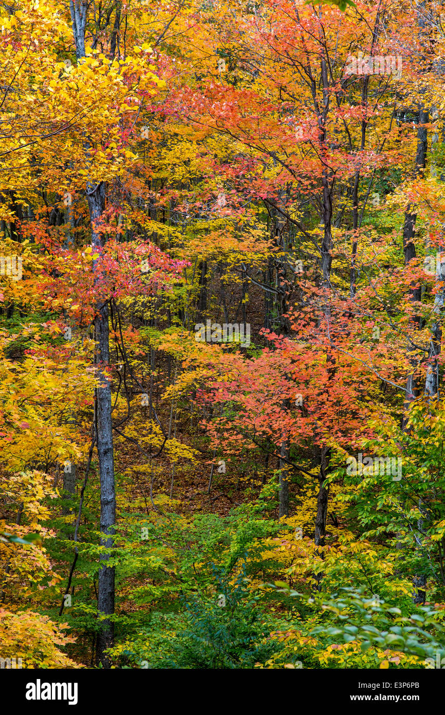 Hills with autumn colors at Brown County State Park near Nashville ...