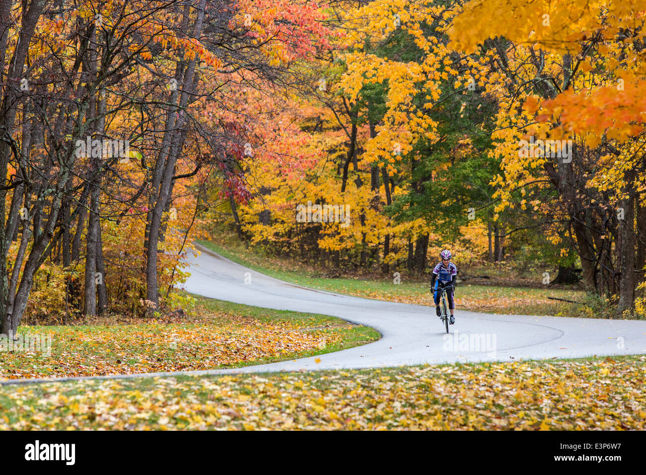 Brown county state park indiana hi-res stock photography and images - Alamy
