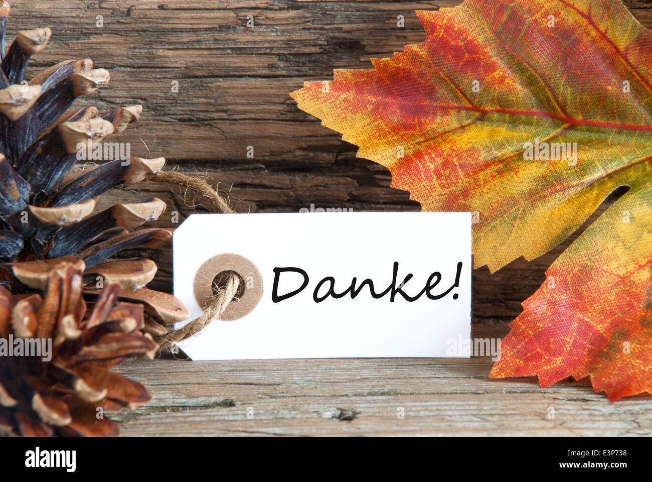 A Fall Background with the German Words Danke which means Thanks Stock ...