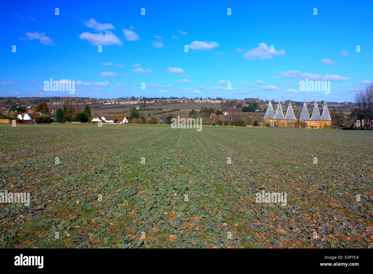 Farmland in the Kent countryside near East Farleigh Stock Photo - Alamy