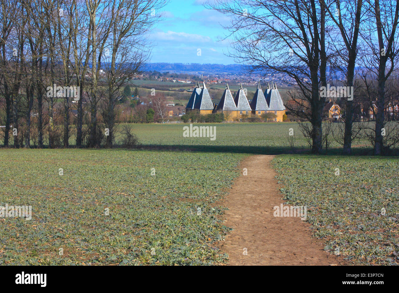 Oast Houses in the Kent countryside near East Farleigh Stock Photo - Alamy