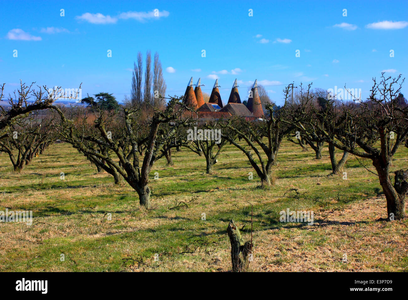 Oast Houses in the Kent countryside near East Farleigh Stock Photo - Alamy