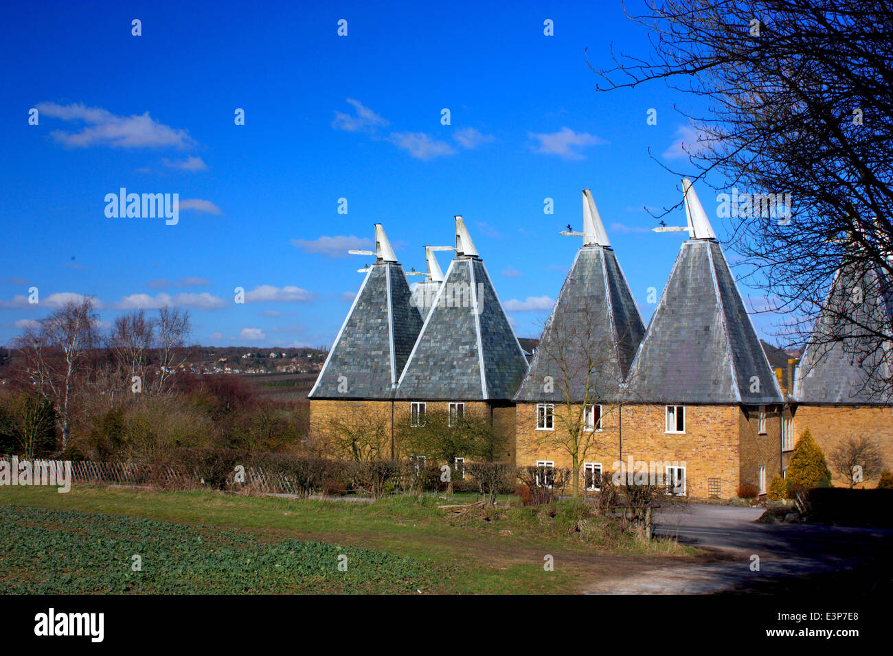 Oast Houses in the Kent countryside near East Farleigh Stock Photo - Alamy