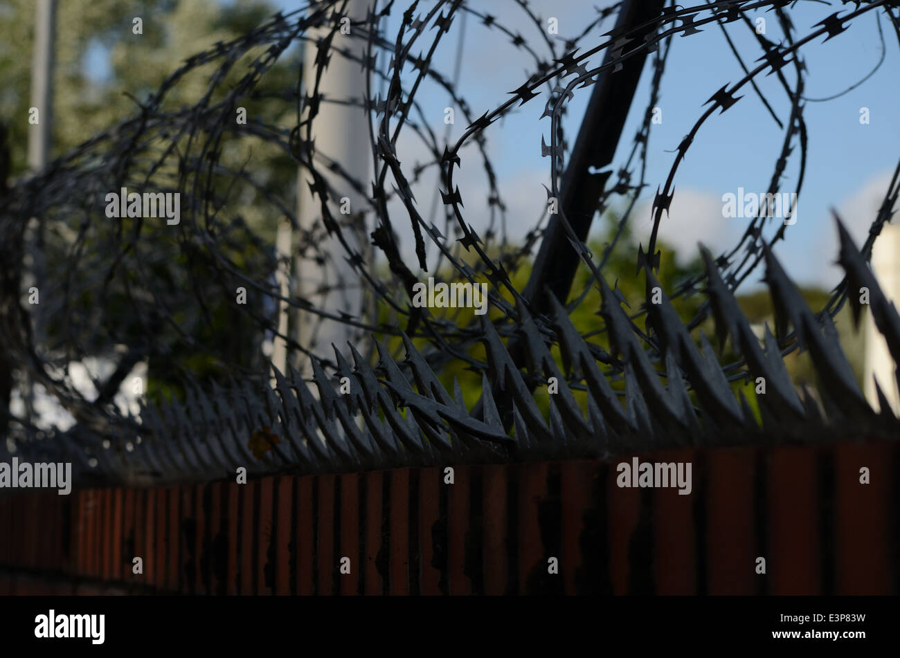 security wall topping Stock Photo - Alamy