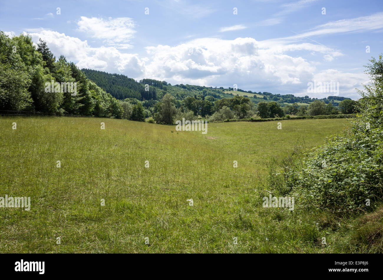 Taff trail hi-res stock photography and images - Alamy