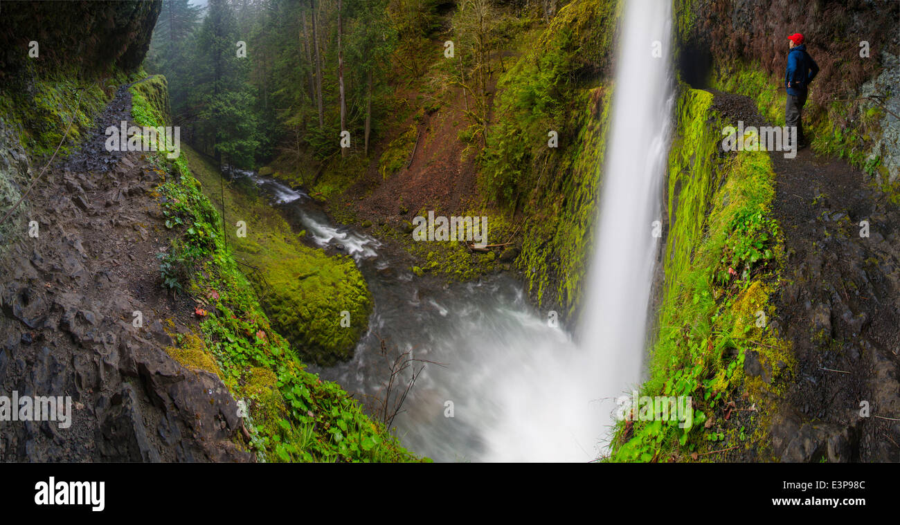 USA, Oregon. Panorama of Tunnel Falls trail that was blasted through ...