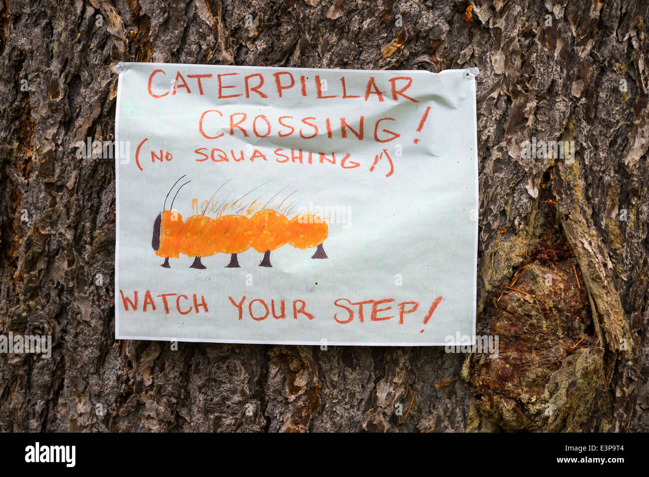 Watch your step. Child's art sign on tree for caterpillar crossing ...
