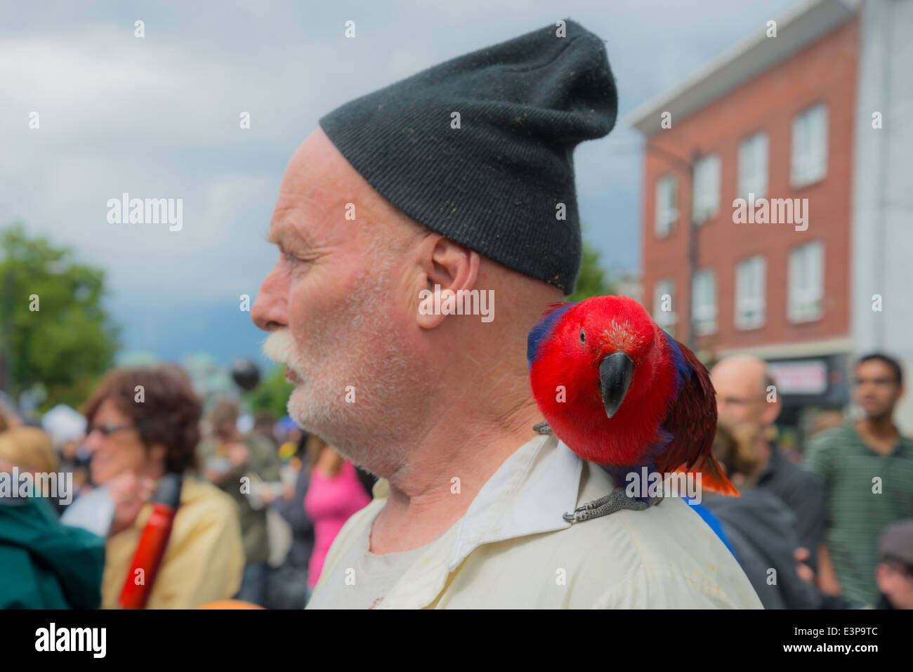 Parrot on shoulder hi-res stock photography and images - Alamy