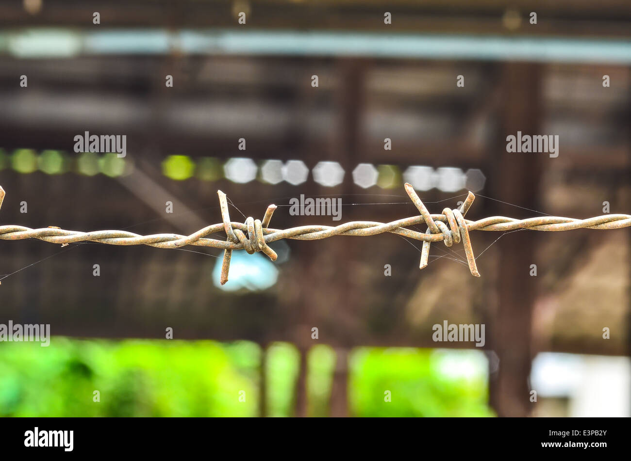 Barb wire fence hi-res stock photography and images - Alamy