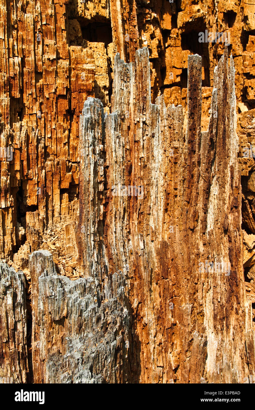 Decaying wooden structure hi-res stock photography and images - Alamy
