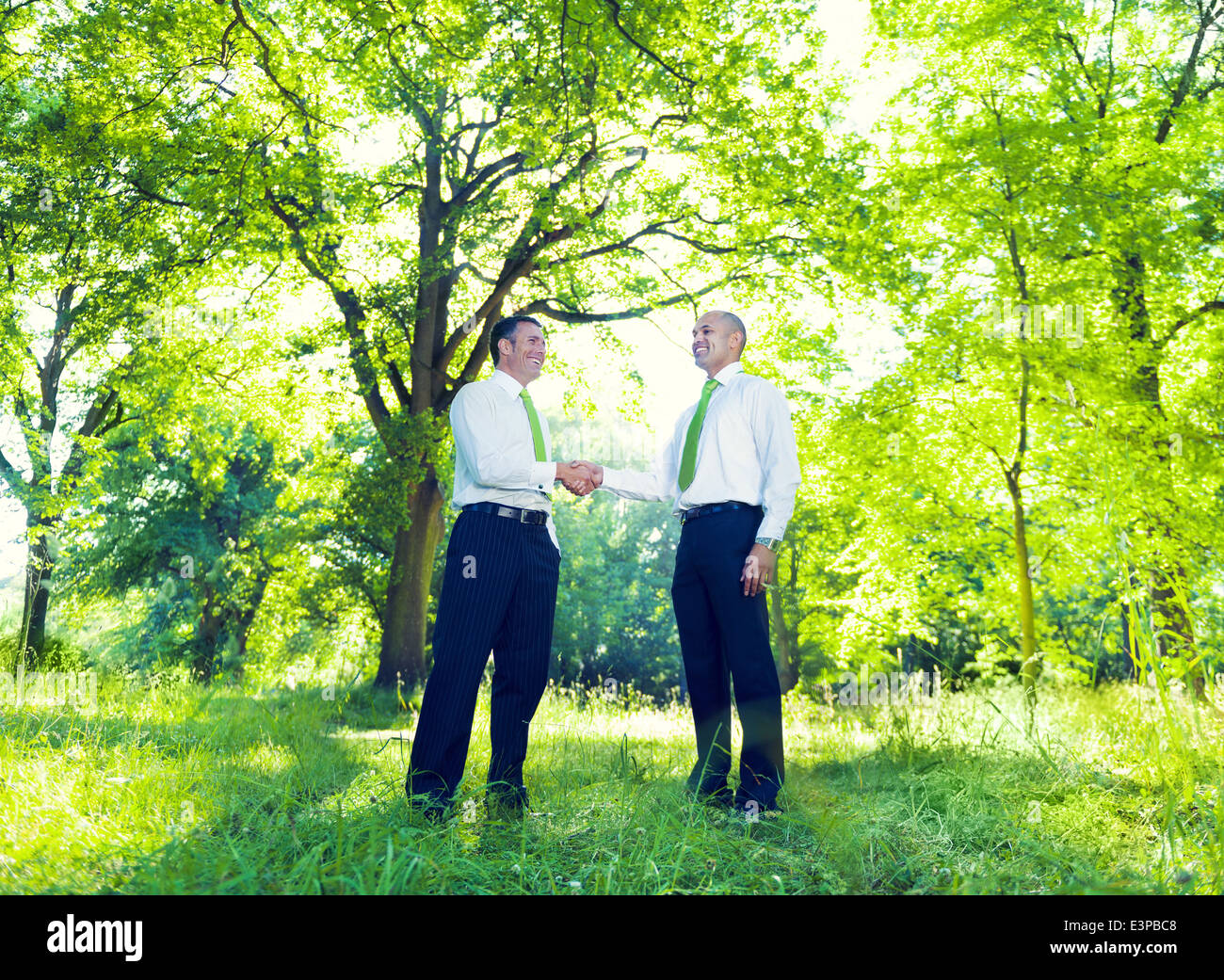 Green business handshake Stock Photo - Alamy