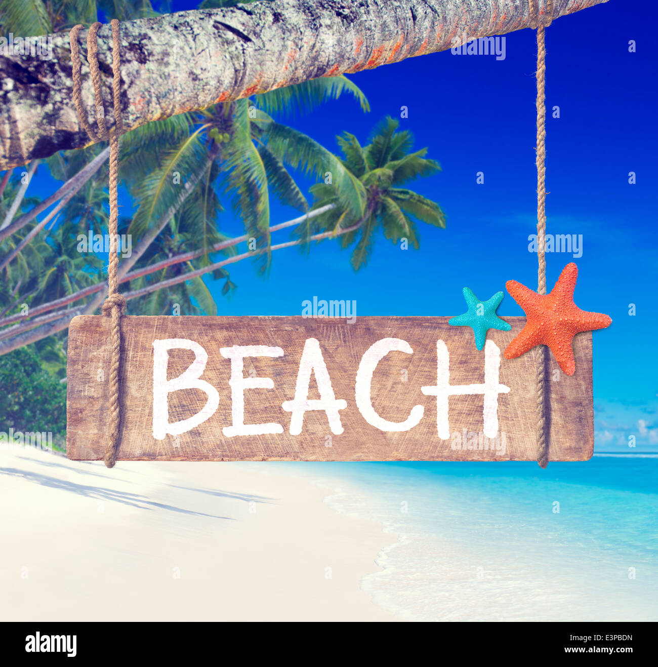 Wooden Placard Hanging on a Tree by the Beach Stock Photo - Alamy