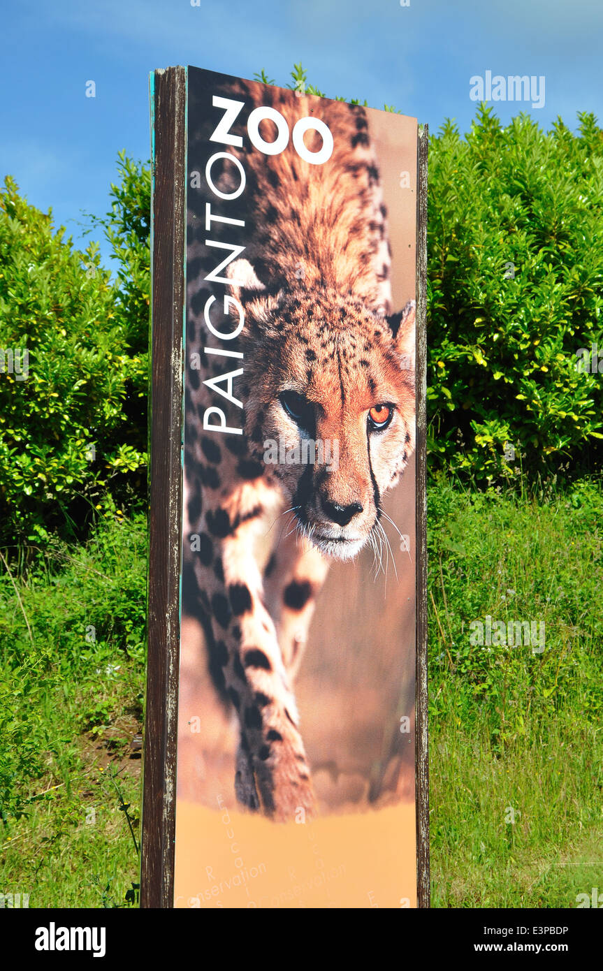Paignton zoo hi-res stock photography and images - Alamy