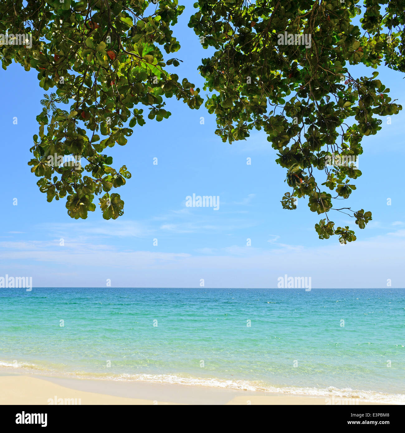 nature scene tropical beach and sea in koh samed island Thailand Stock ...