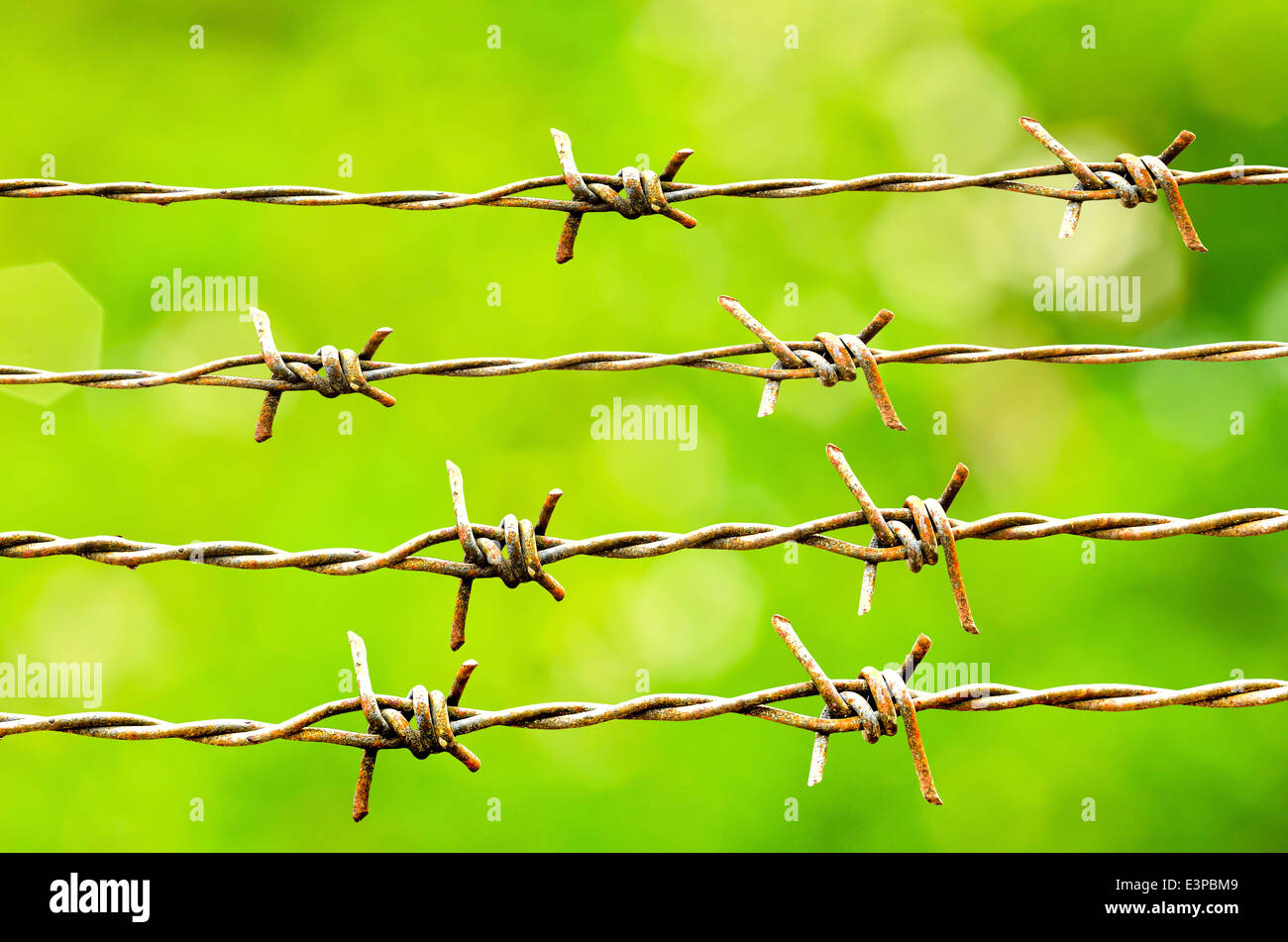 Strands of barb wire isolated on nature background Stock Photo - Alamy