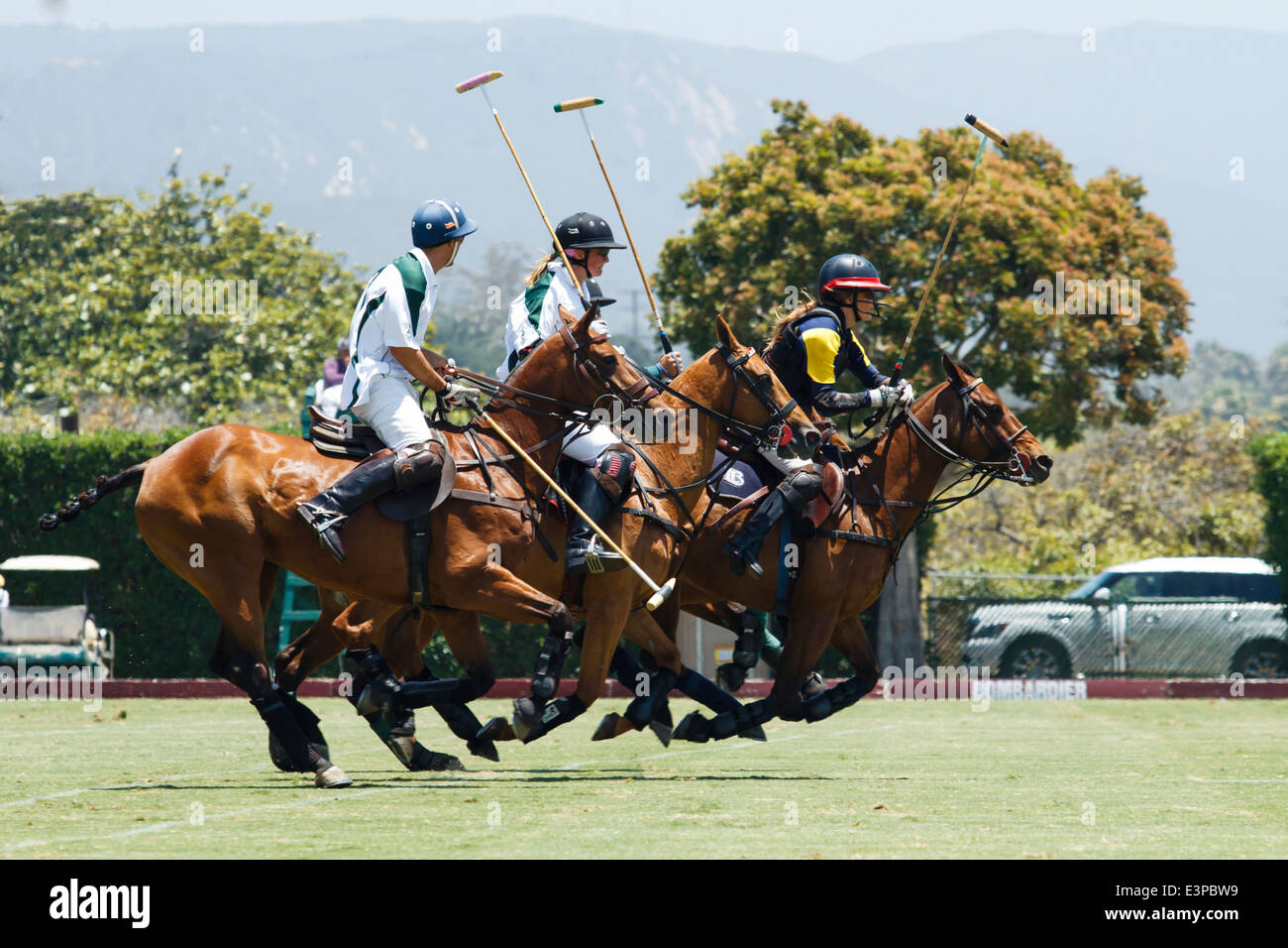 Hot polo pony hi-res stock photography and images - Alamy