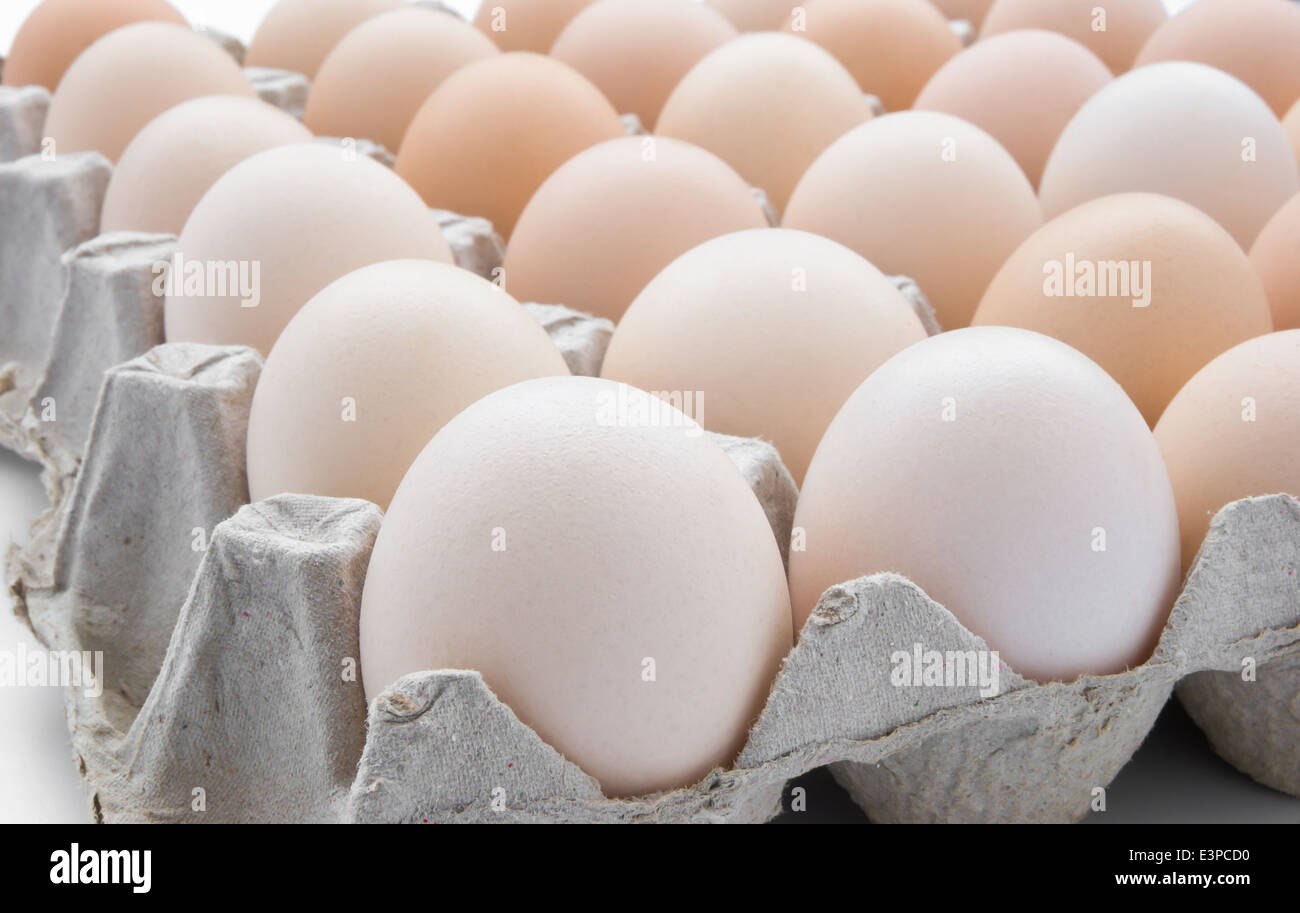 Fresh hatch hi-res stock photography and images - Alamy