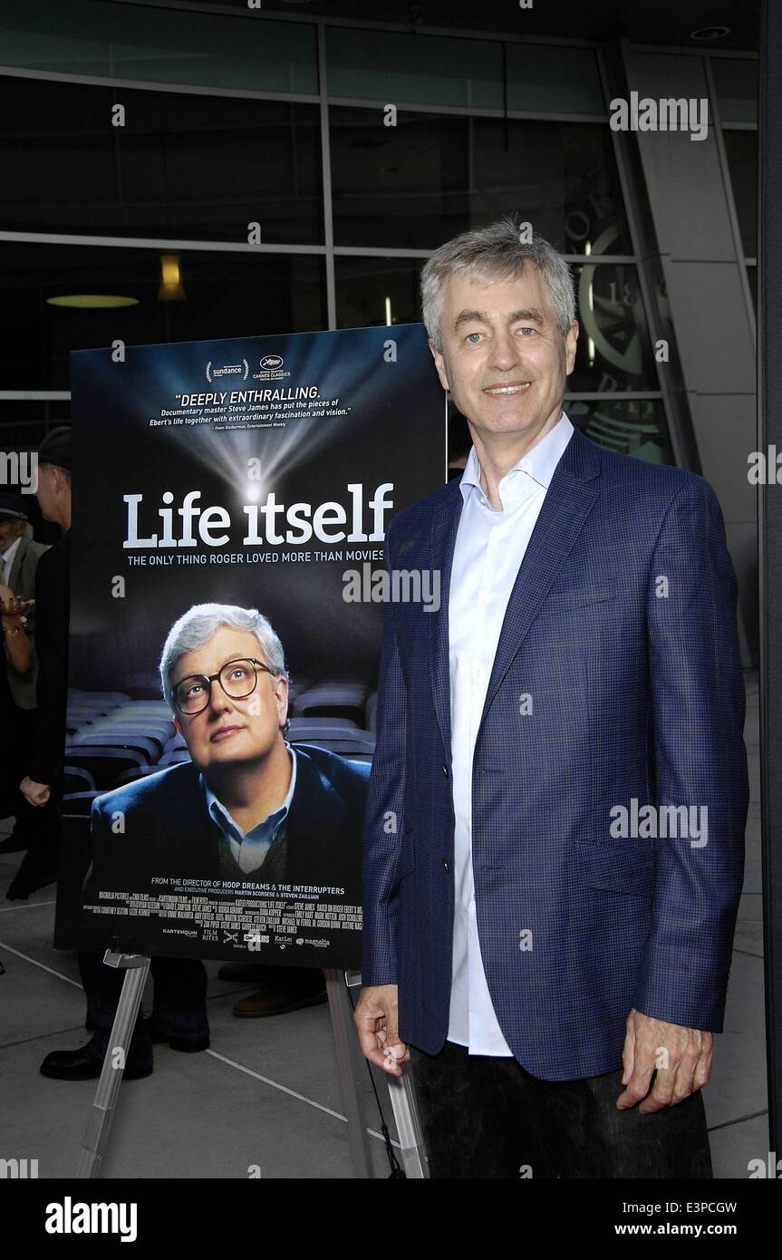 Los Angeles, CA, USA. 26th June, 2014. Steve James at arrivals for LIFE ...