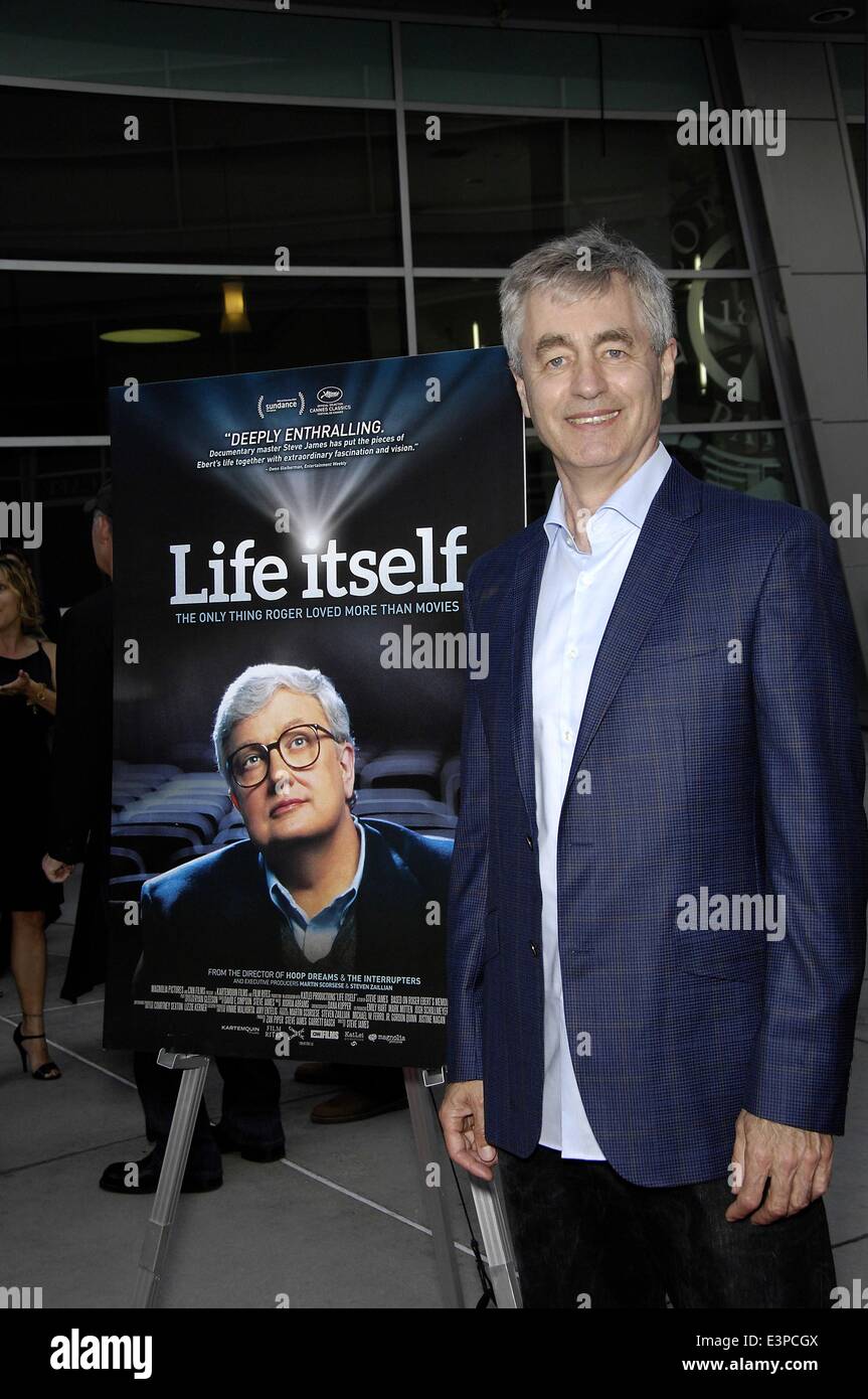 Los Angeles, CA, USA. 26th June, 2014. Steve James at arrivals for LIFE ...