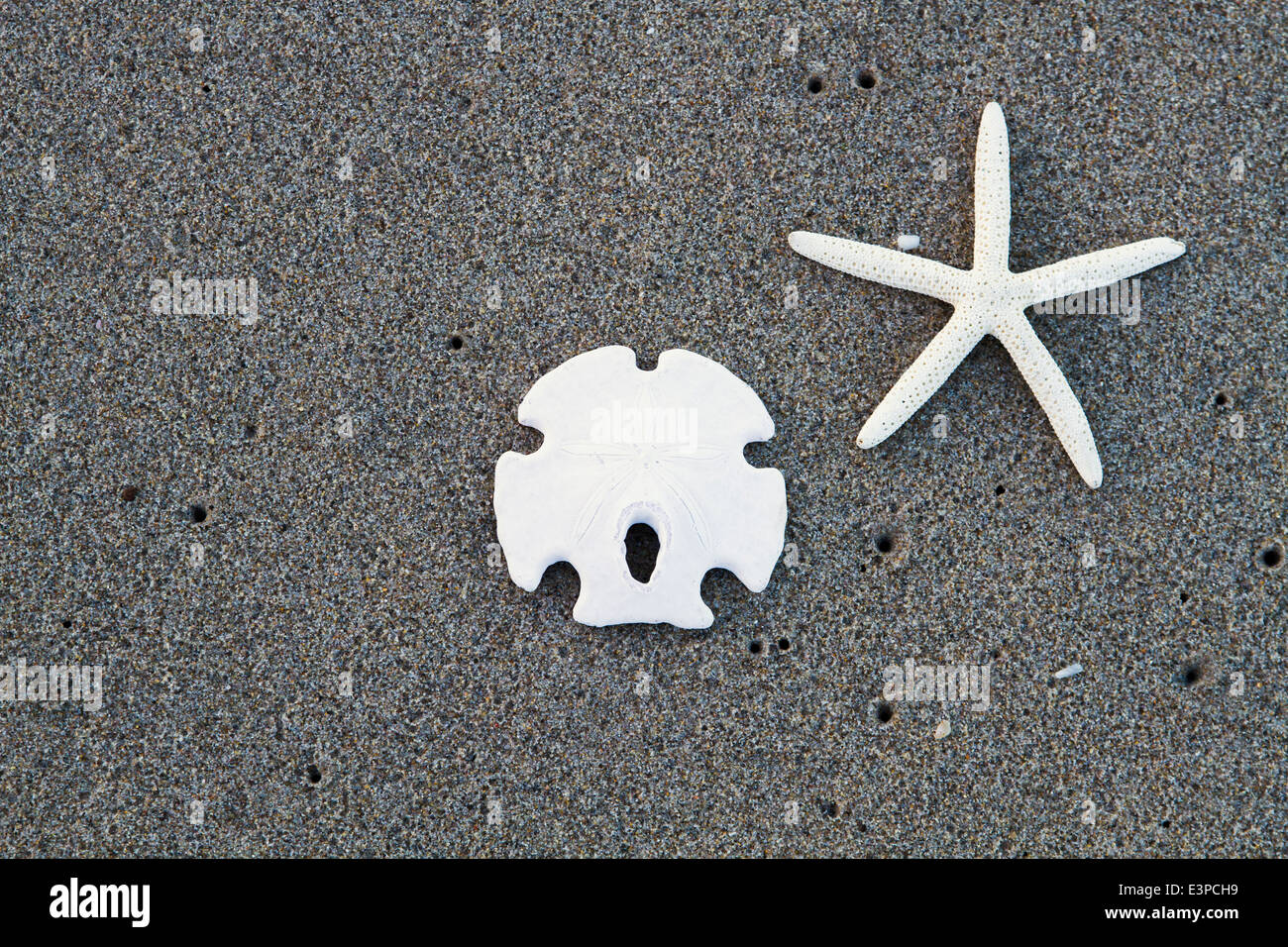 Searching for shells hi-res stock photography and images - Alamy