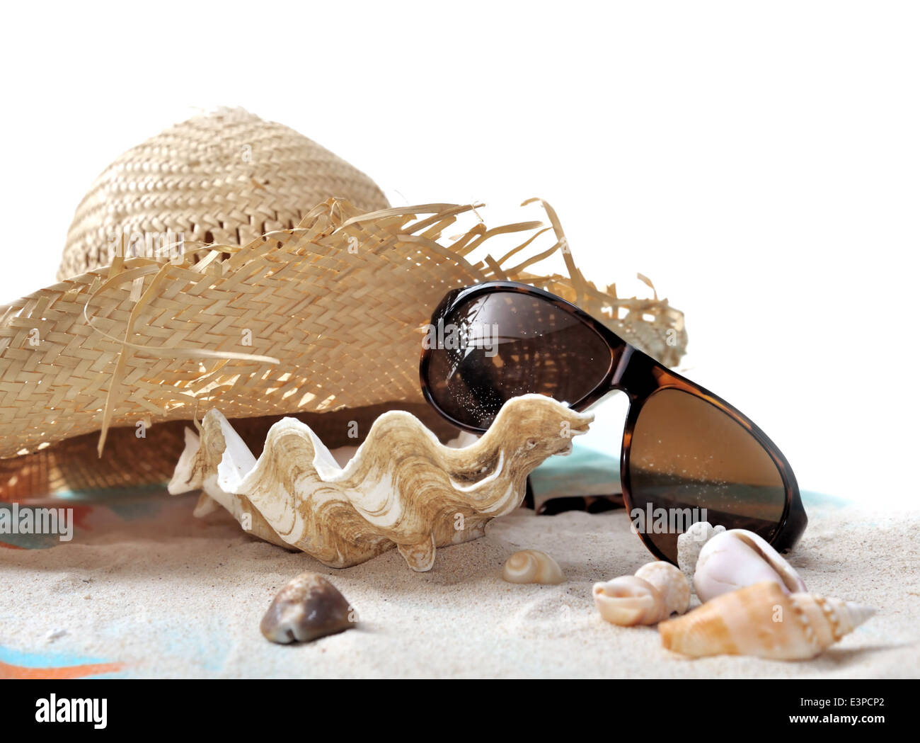 Giant clam isolated hi-res stock photography and images - Alamy