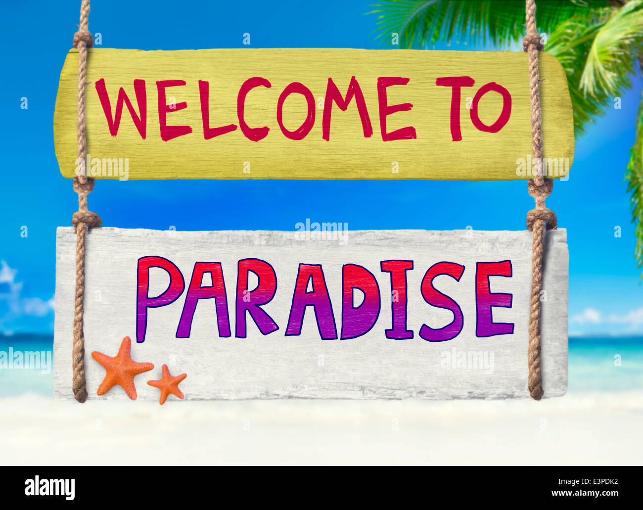 Colorful Wooden Signpost Hanging on a Tropical Beach Stock Photo - Alamy