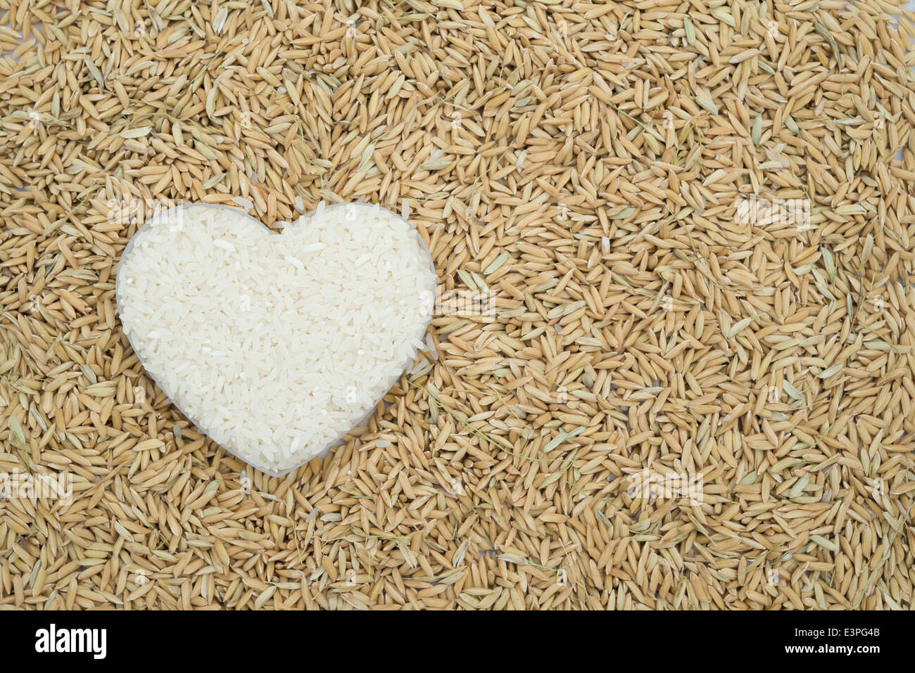 heart shape rice on paddy Stock Photo - Alamy