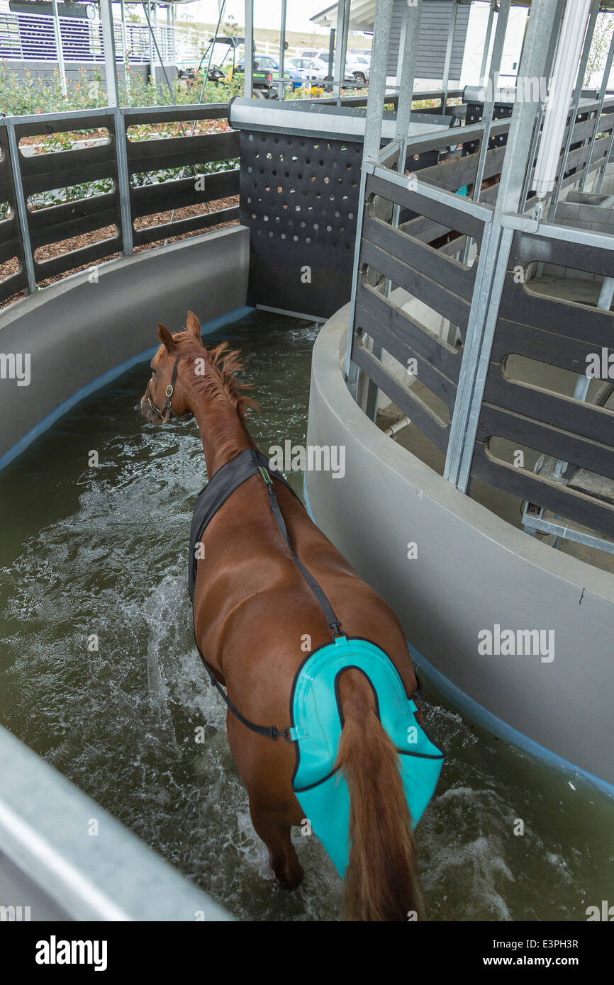 Walker machine hi-res stock photography and images - Alamy