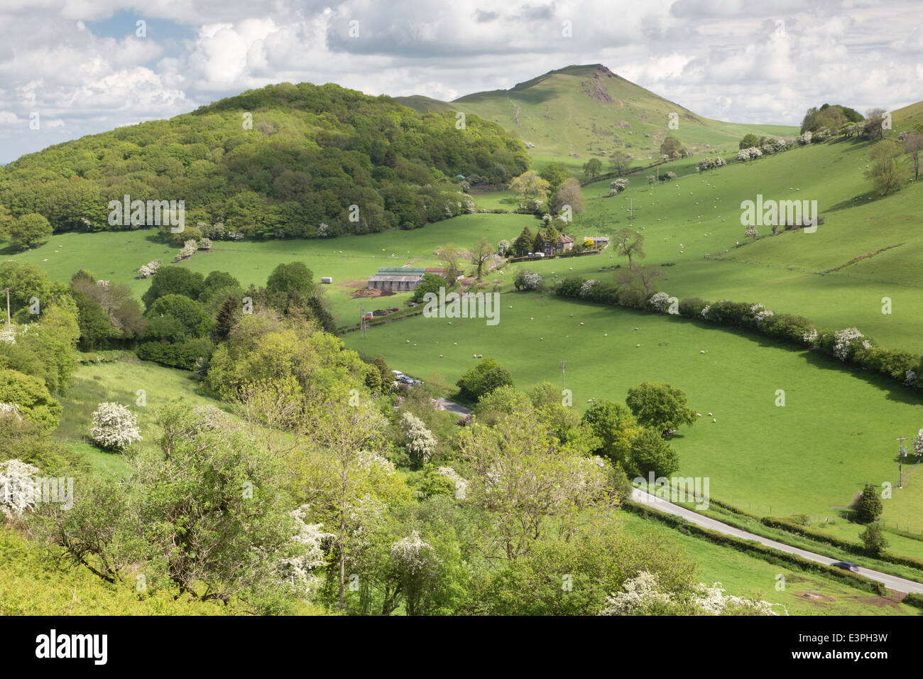Shropshire Hills near Church Stretton with Caer Caradoc hill in the ...